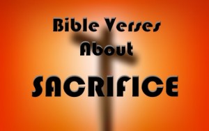 7 Important Bible Verses About Sacrifice