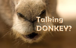 What Is The Story Of The Talking Donkey In The Bible?