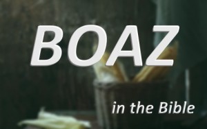 Boaz in the Bible: Character Profile