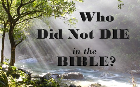 Who Did Not Die In The Bible?