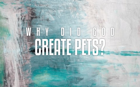 Why Did God Create Pets?