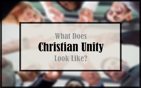 What Does Christian Unity Look Like?